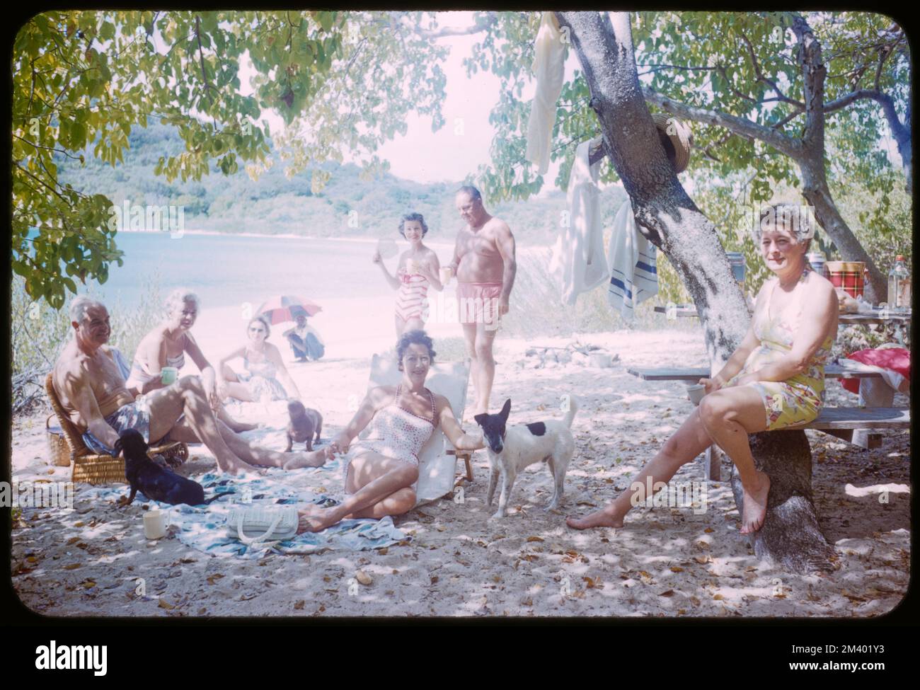 Mill Reef Club in Antigua - Extra, Toni Frissell, Antoinette Frissell ...