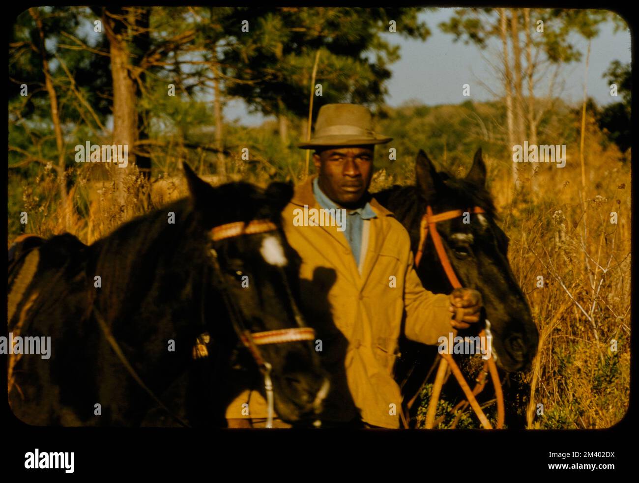 Geo. Widener Quail Hunt, Toni Frissell, Antoinette Frissell Bacon ...