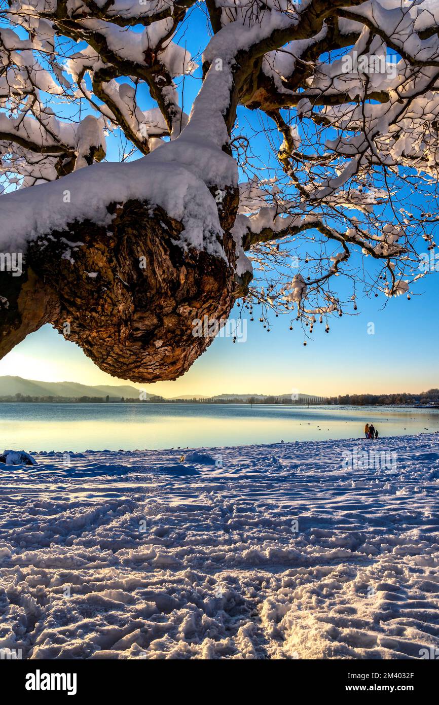 Winter vacation on beautiful Lake Constance sunset Stock Photo - Alamy