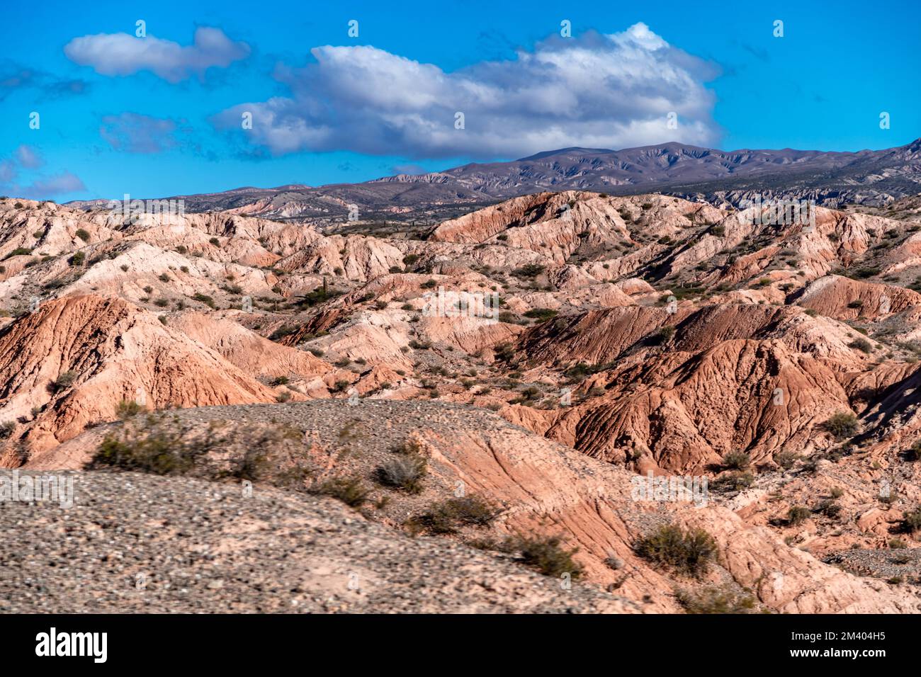 Nature of Andes mountains with beautiful panorama Stock Photo - Alamy
