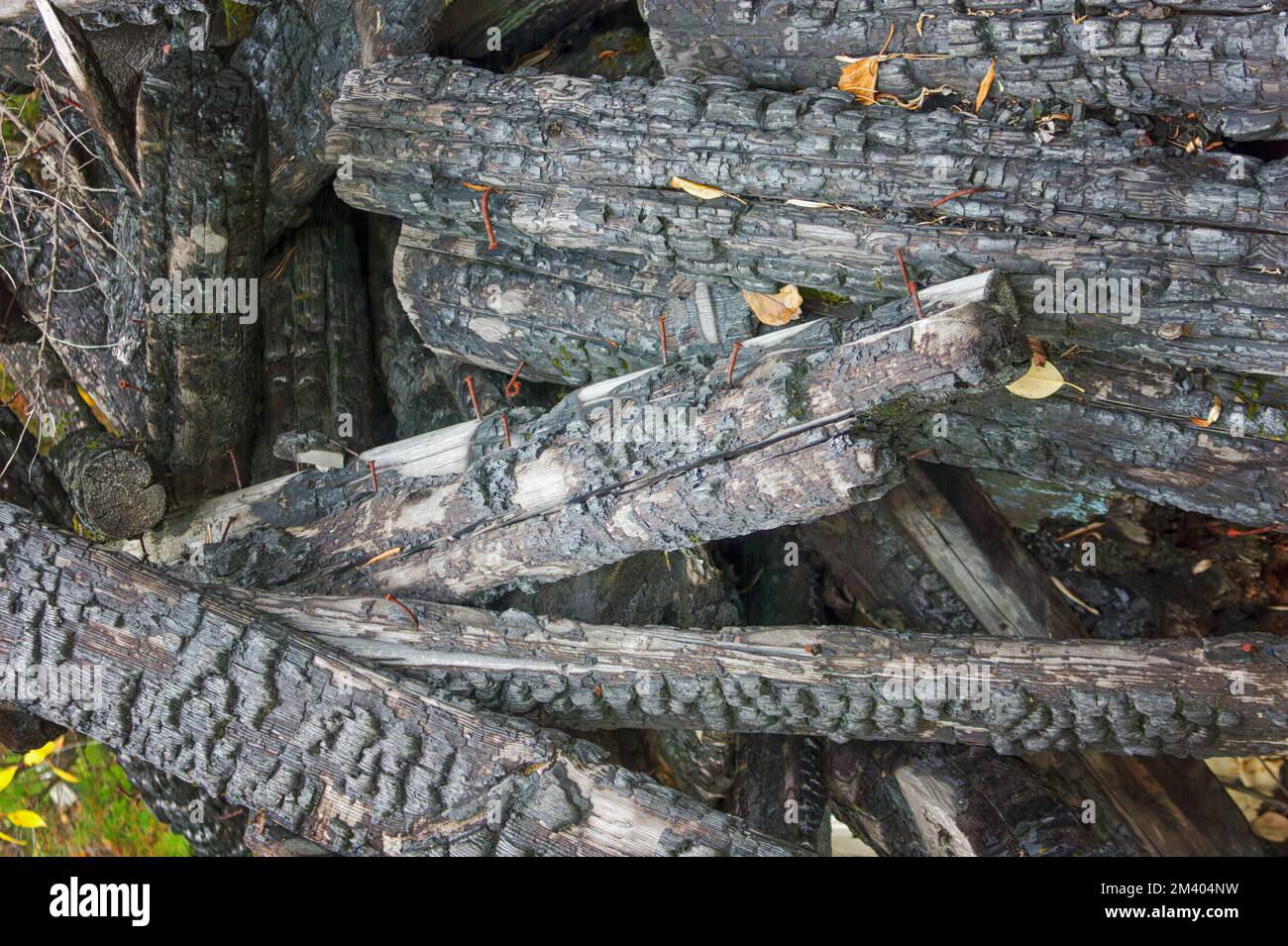 Smoking wood plank background. Burned wooden grunge texture Stock Photo ...