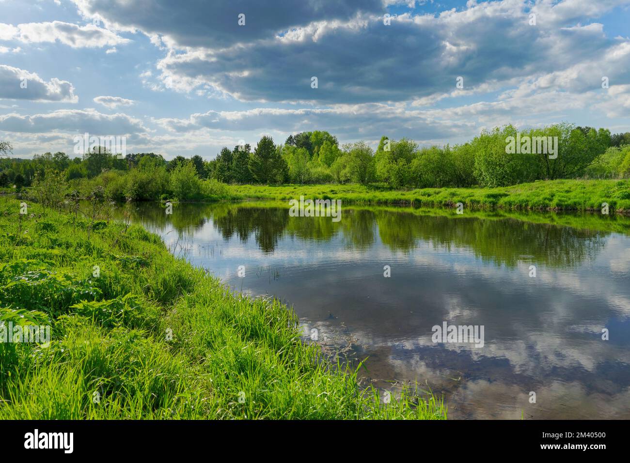 Summer landscape with riverbank. Wonderful nature, beautiful natural ...