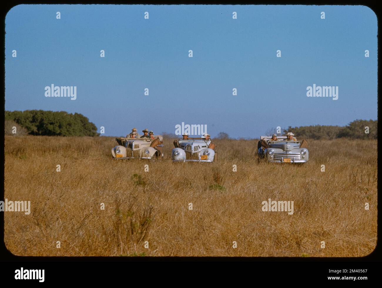 Sports Illustrated Job x3470, Texas Quail Hunt, Groups 5-8 & , Toni ...