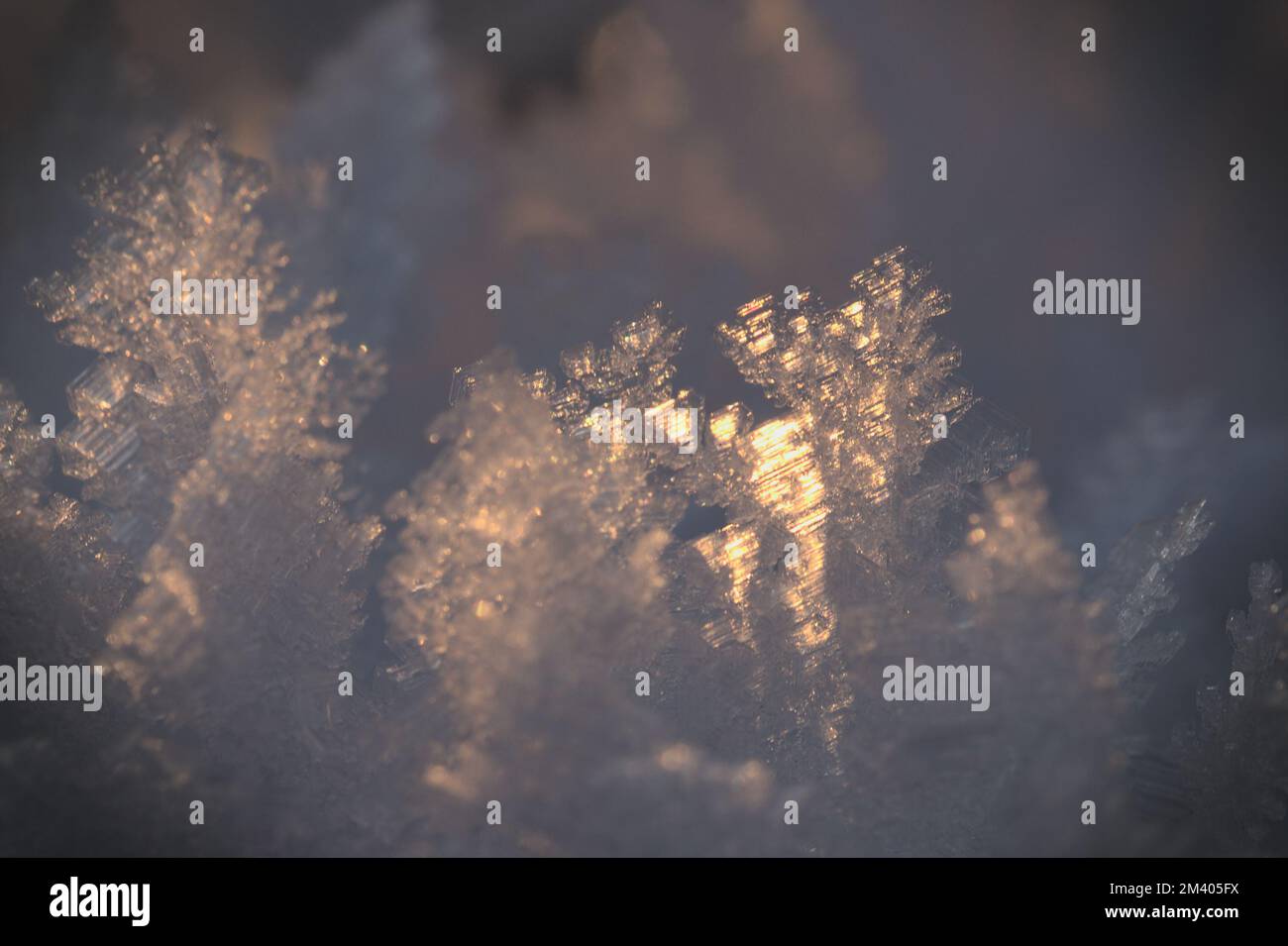 crystals of ice, beautiful detail in backlight Stock Photo - Alamy