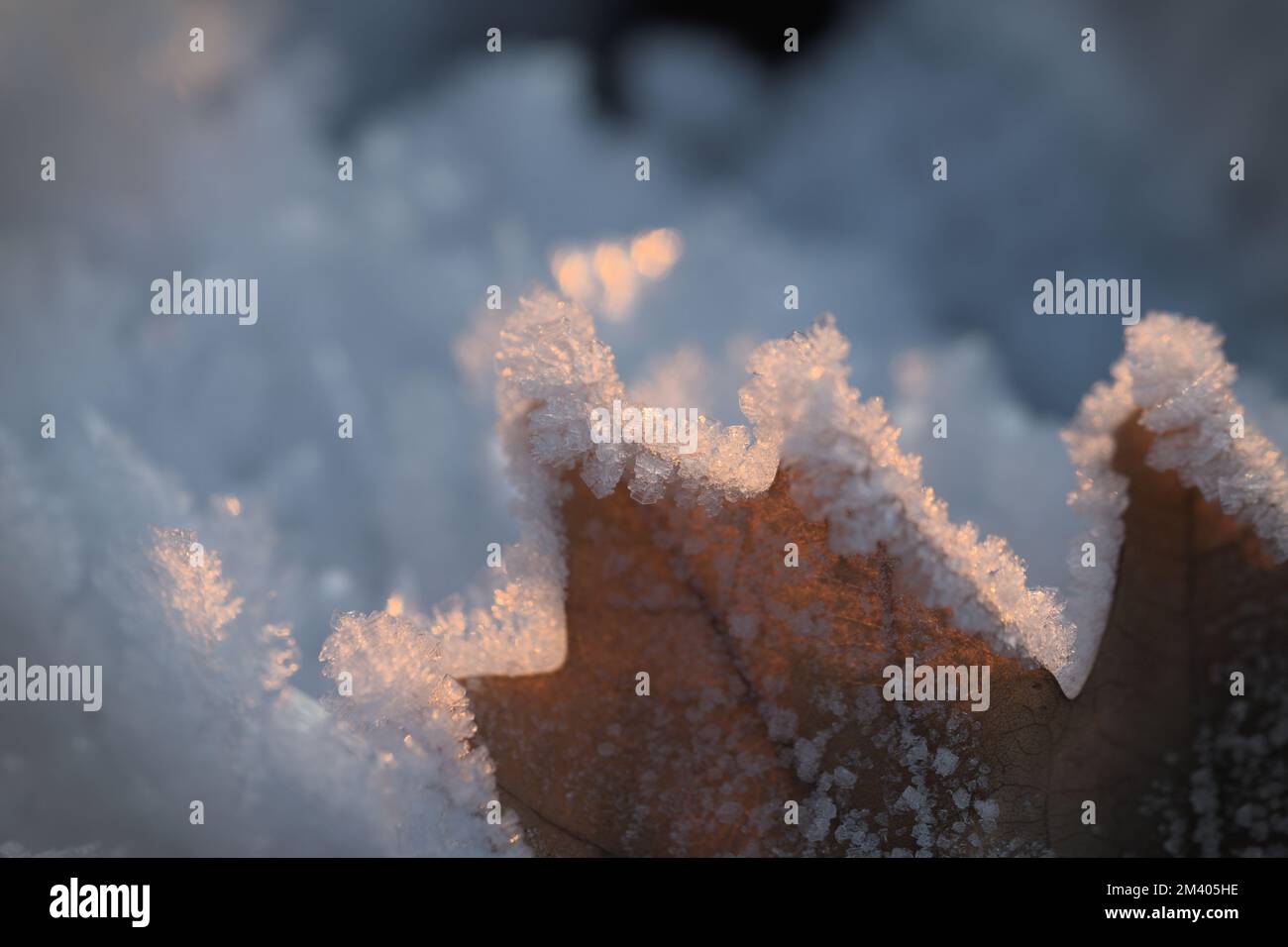 crystals of ice, beautiful detail in backlight Stock Photo - Alamy