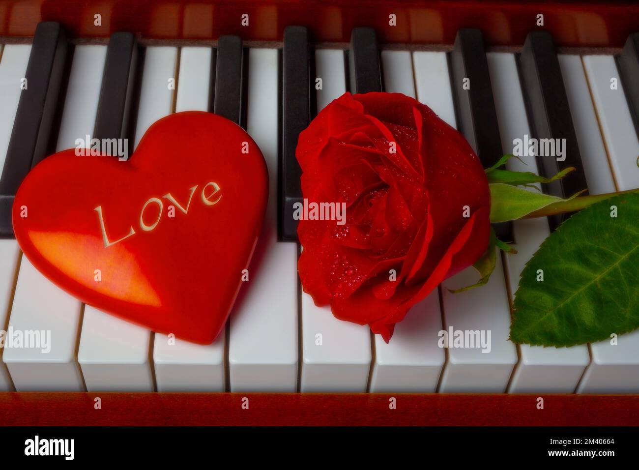 Red rose on piano keyboard hi-res stock photography and images - Alamy