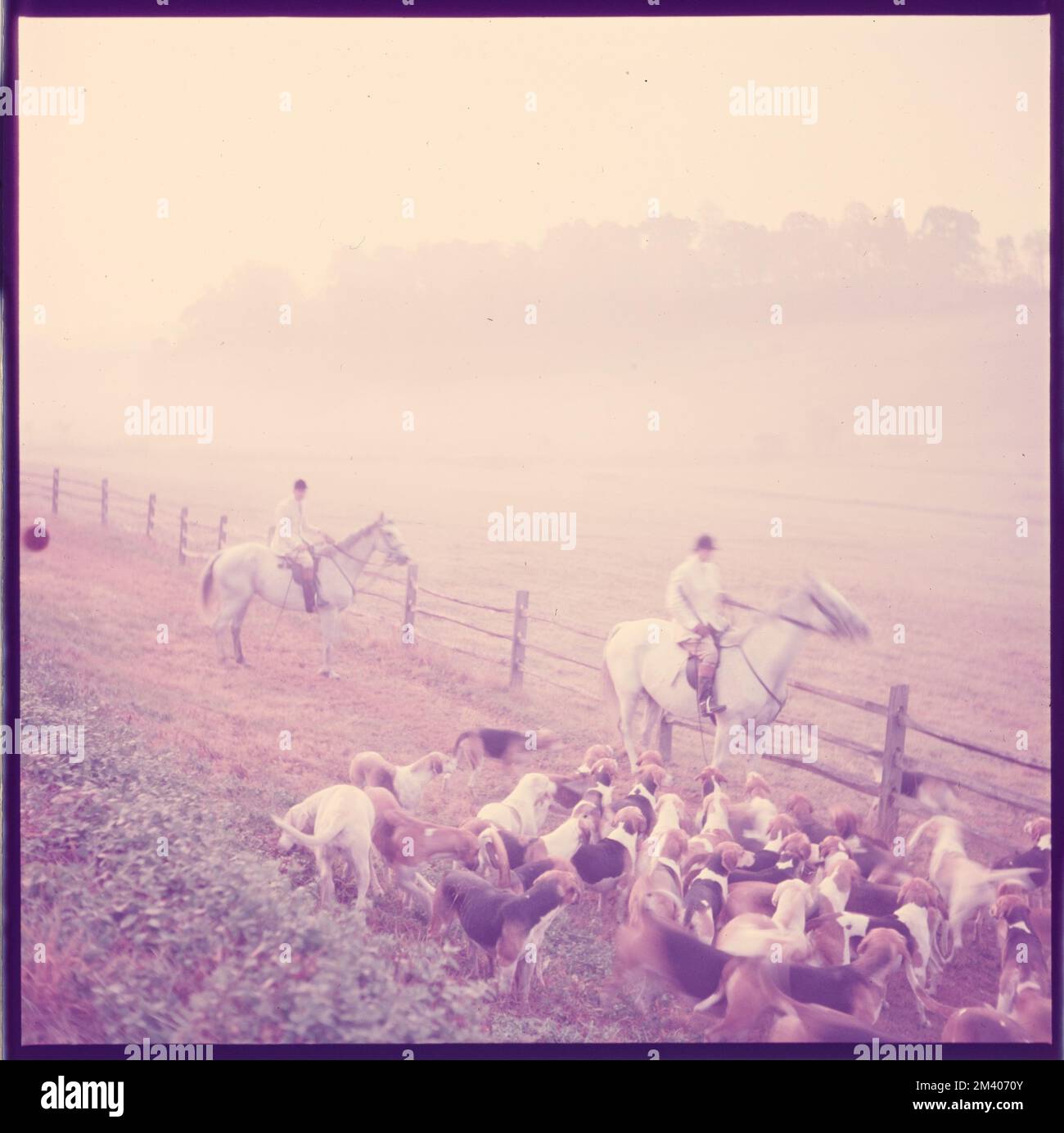 Fox - Hunting - Cubbing - Chesive, Toni Frissell, Antoinette Frissell ...