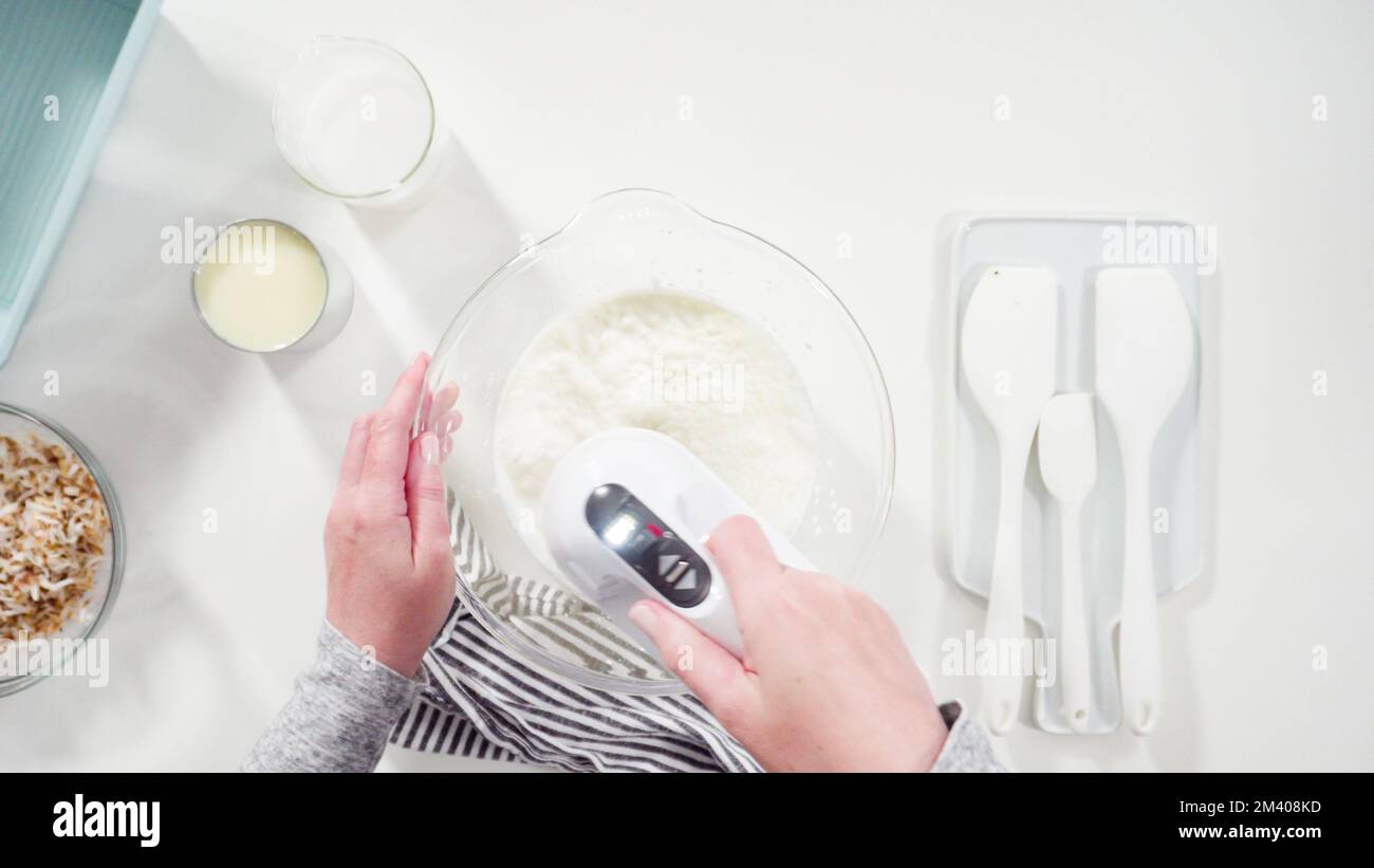 Coconut ice cream Stock Photo - Alamy