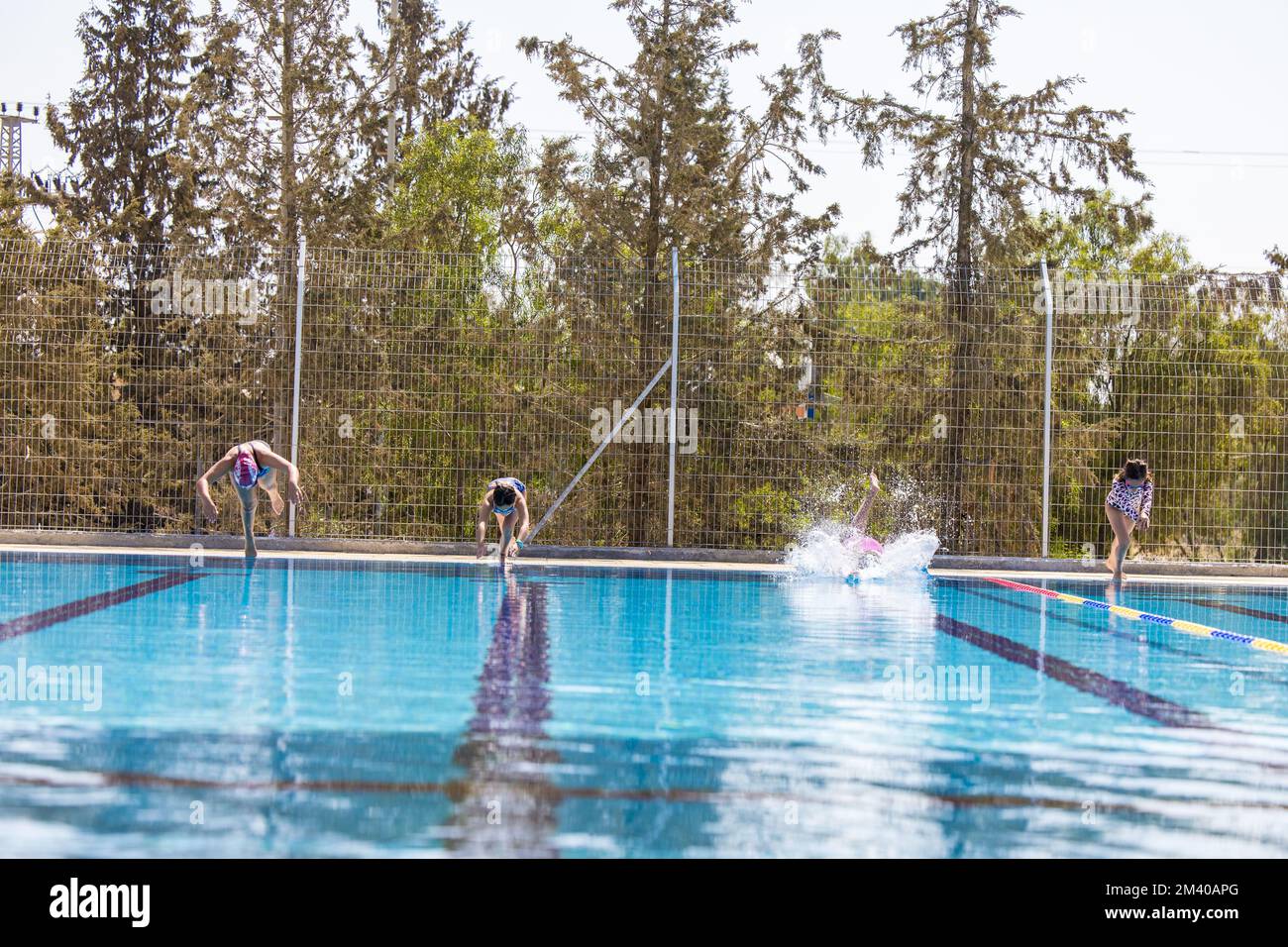 Swimmer jumping into swimming pool Stock Photo - Alamy
