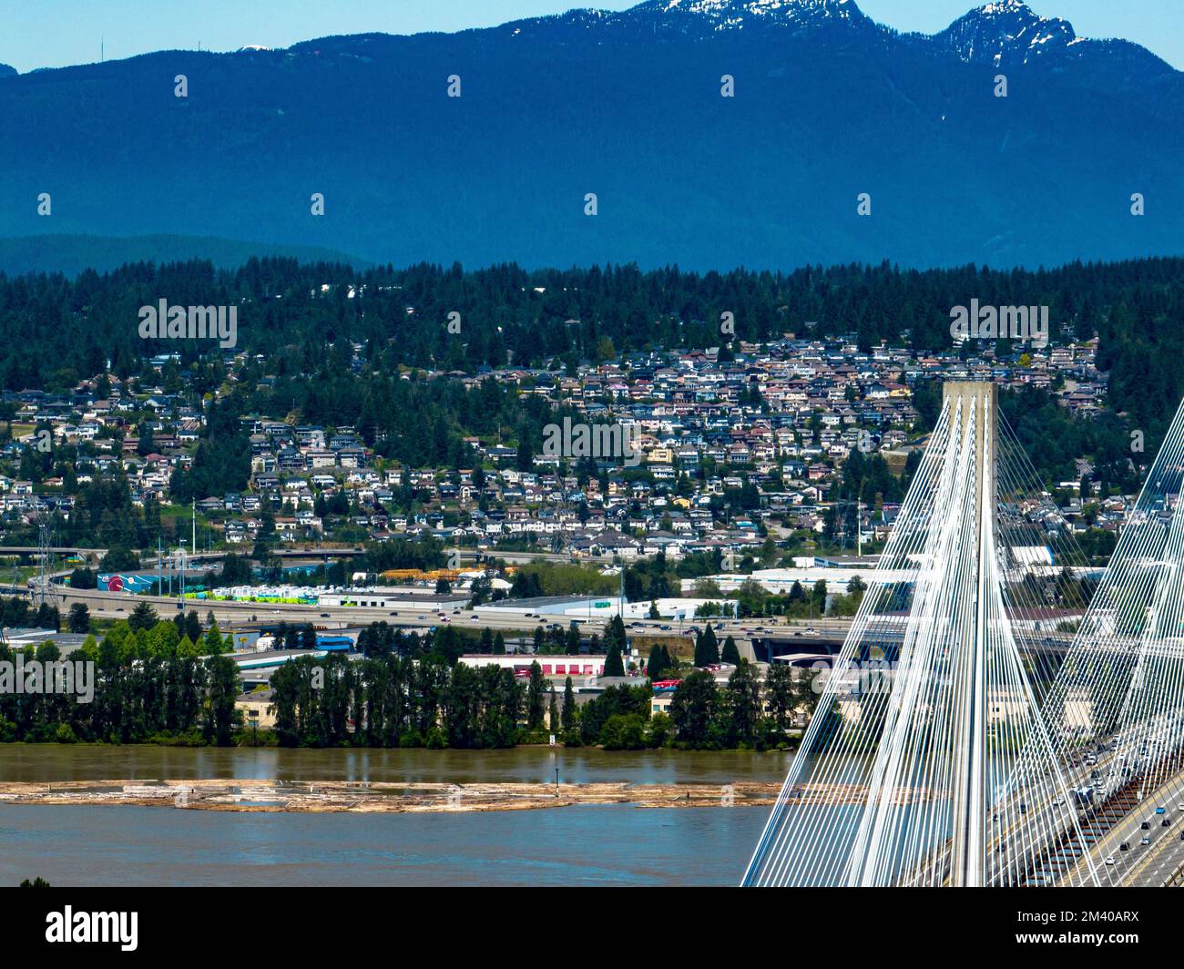 A drone shot of Coquitlam cityscape with Port Mann Bridge, river and ...
