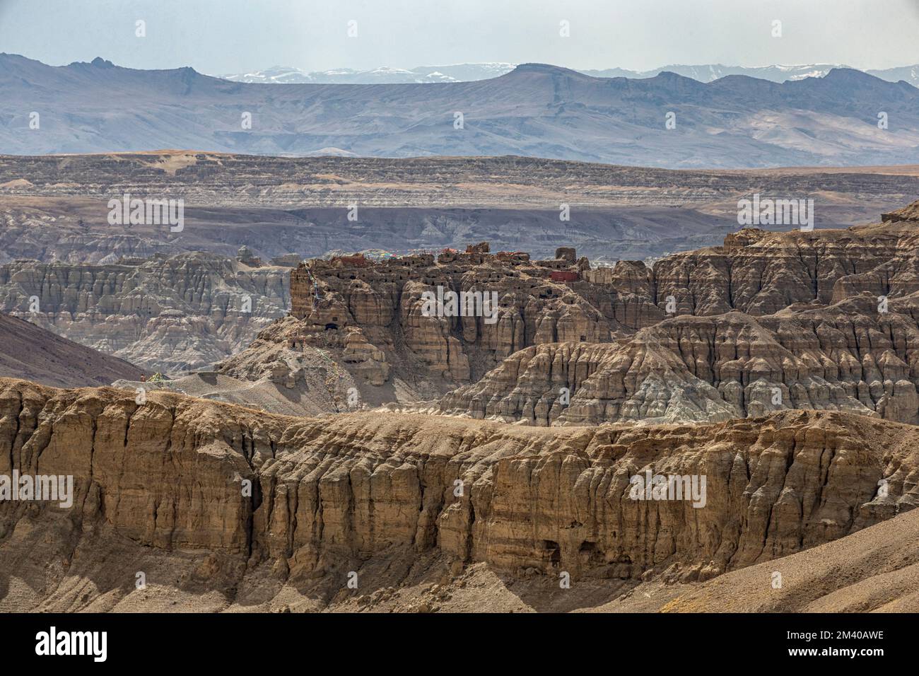Earth forest landform hi-res stock photography and images - Alamy