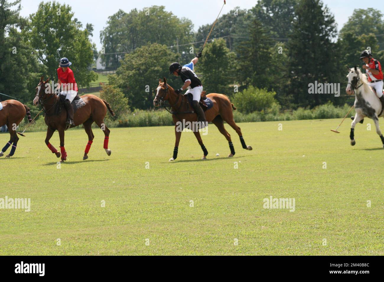 Lexington polo hi-res stock photography and images - Alamy