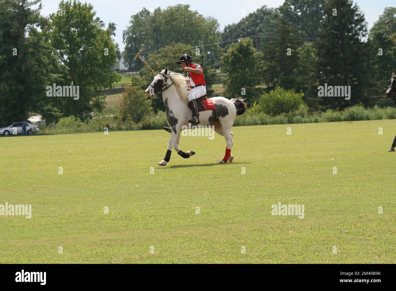 Lexington polo club hi-res stock photography and images - Alamy