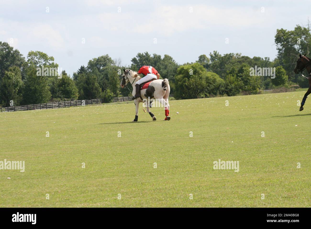Lexington polo club hi-res stock photography and images - Alamy