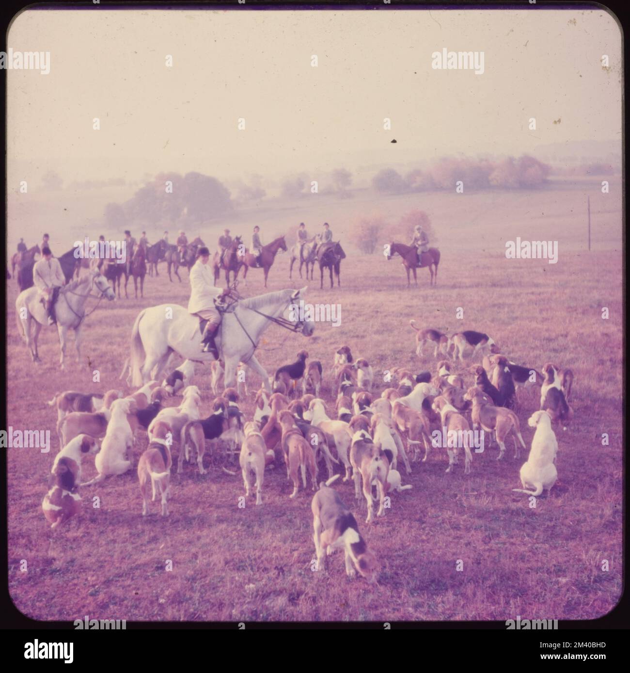 Fox Hunting - Cubbing Chesire Hounds, Toni Frissell, Antoinette ...