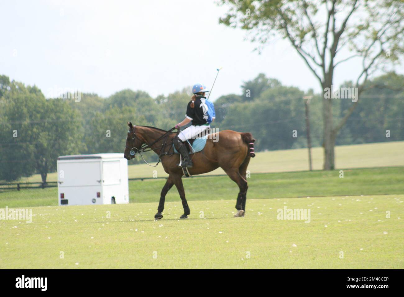 Lexington Polo Club Lexington Ky at Tami Smith blog