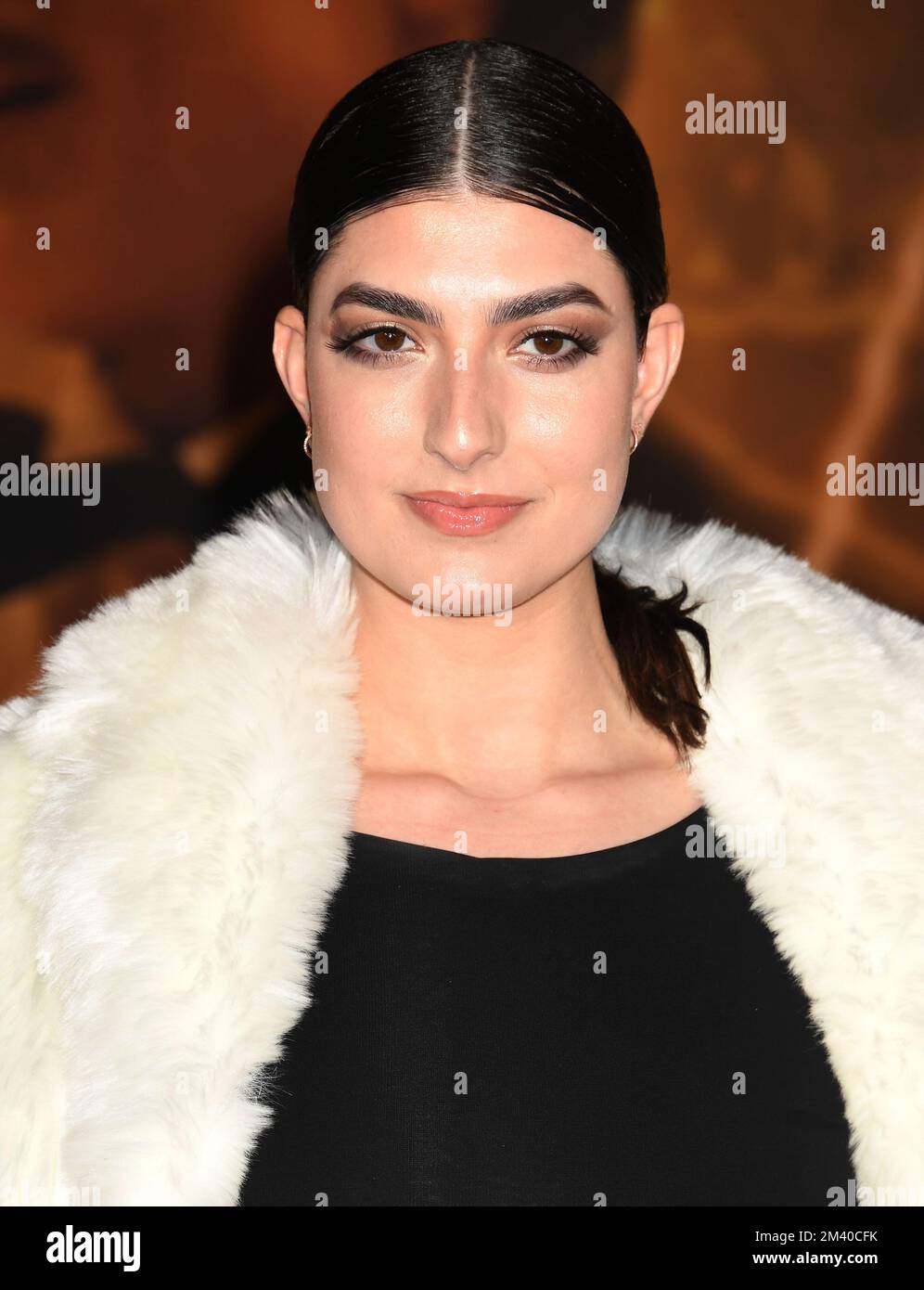 LOS ANGELES, CALIFORNIA - DECEMBER 15: Rachel Levin attends the Global ...