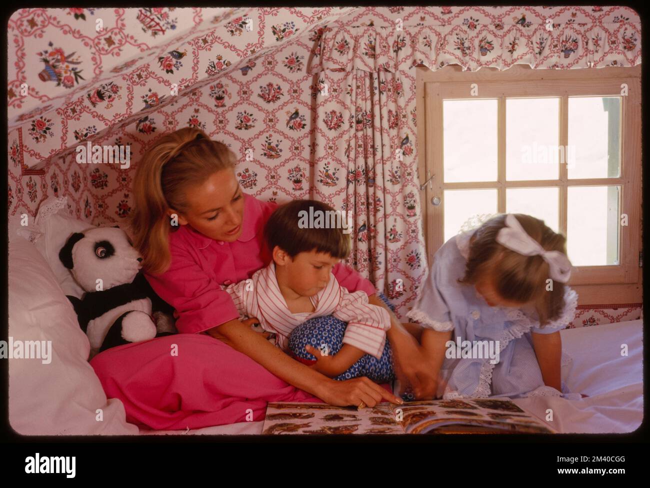 Vogue - Didi Abreu, Details thru Didi, Toni Frissell, Antoinette ...