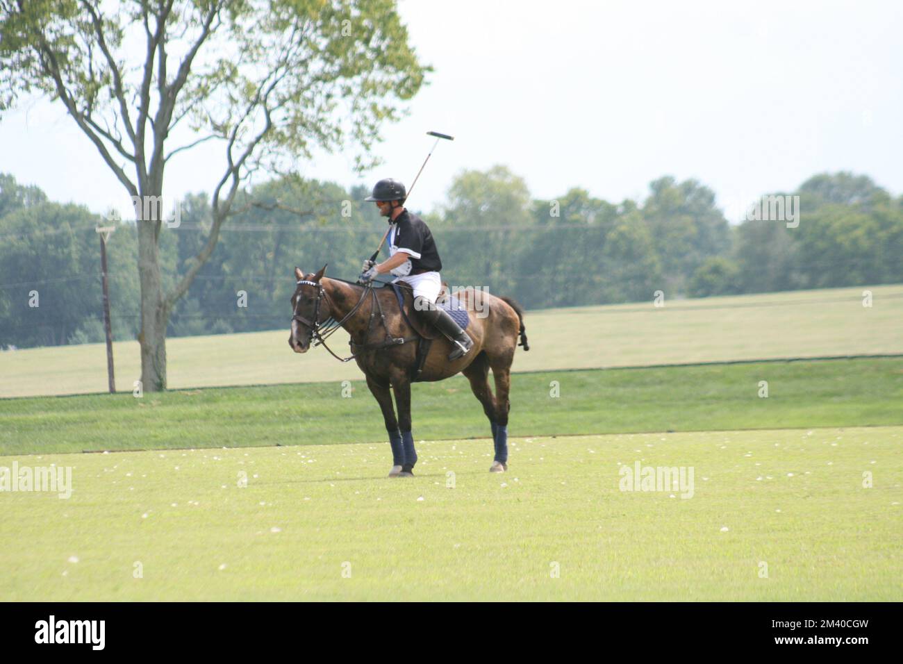 Lexington polo club hi-res stock photography and images - Alamy
