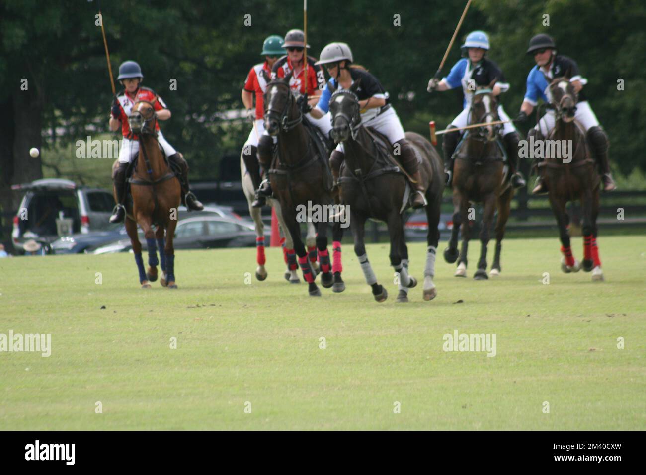 Lexington polo club hi-res stock photography and images - Alamy