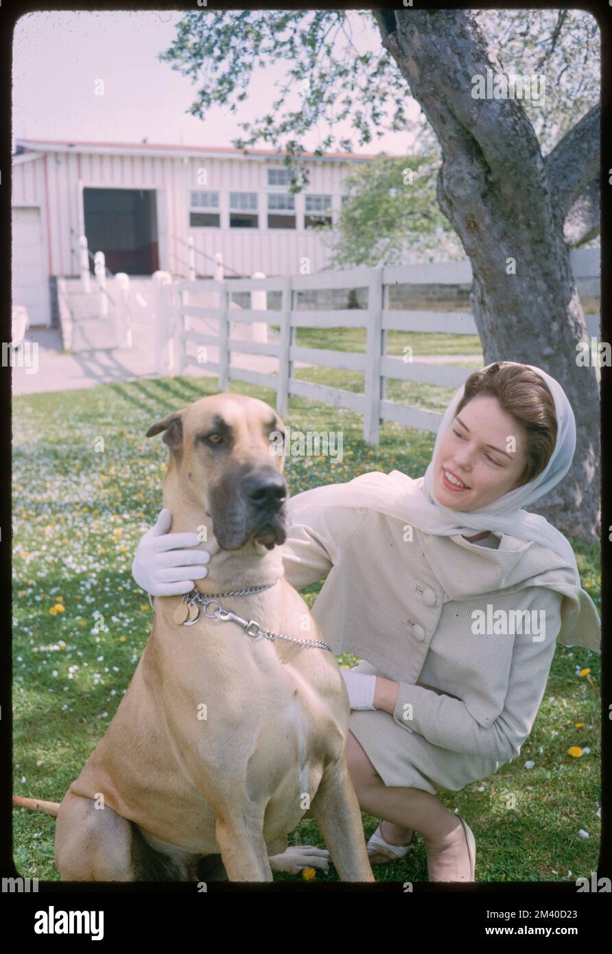 Alfred Vanderbilt Farm - Fergison's Daughter, Toni Frissell, Antoinette ...