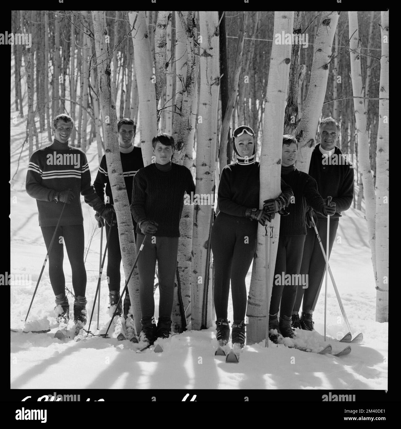 Ann Bonfoey Taylor and others, wearing skiis, standing in a grove of ...