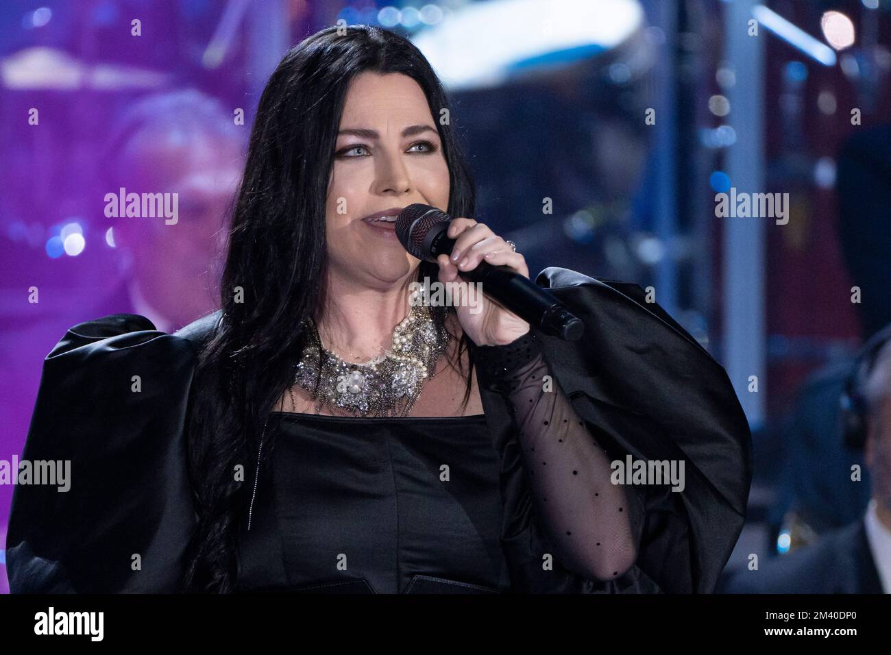 Amy Lee 2022 And Husband