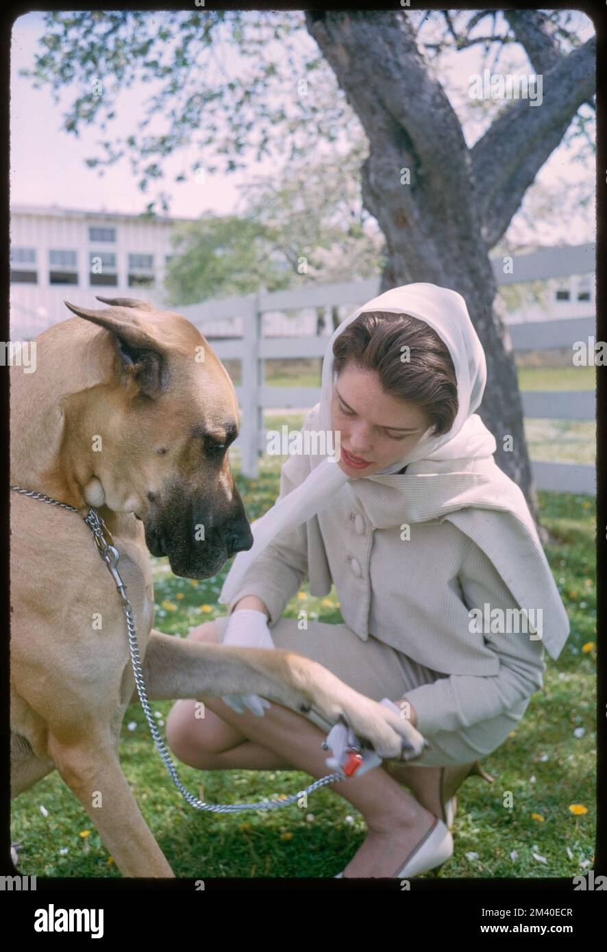 Alfred Vanderbilt Farm - Fergison's Daughter, Toni Frissell, Antoinette ...
