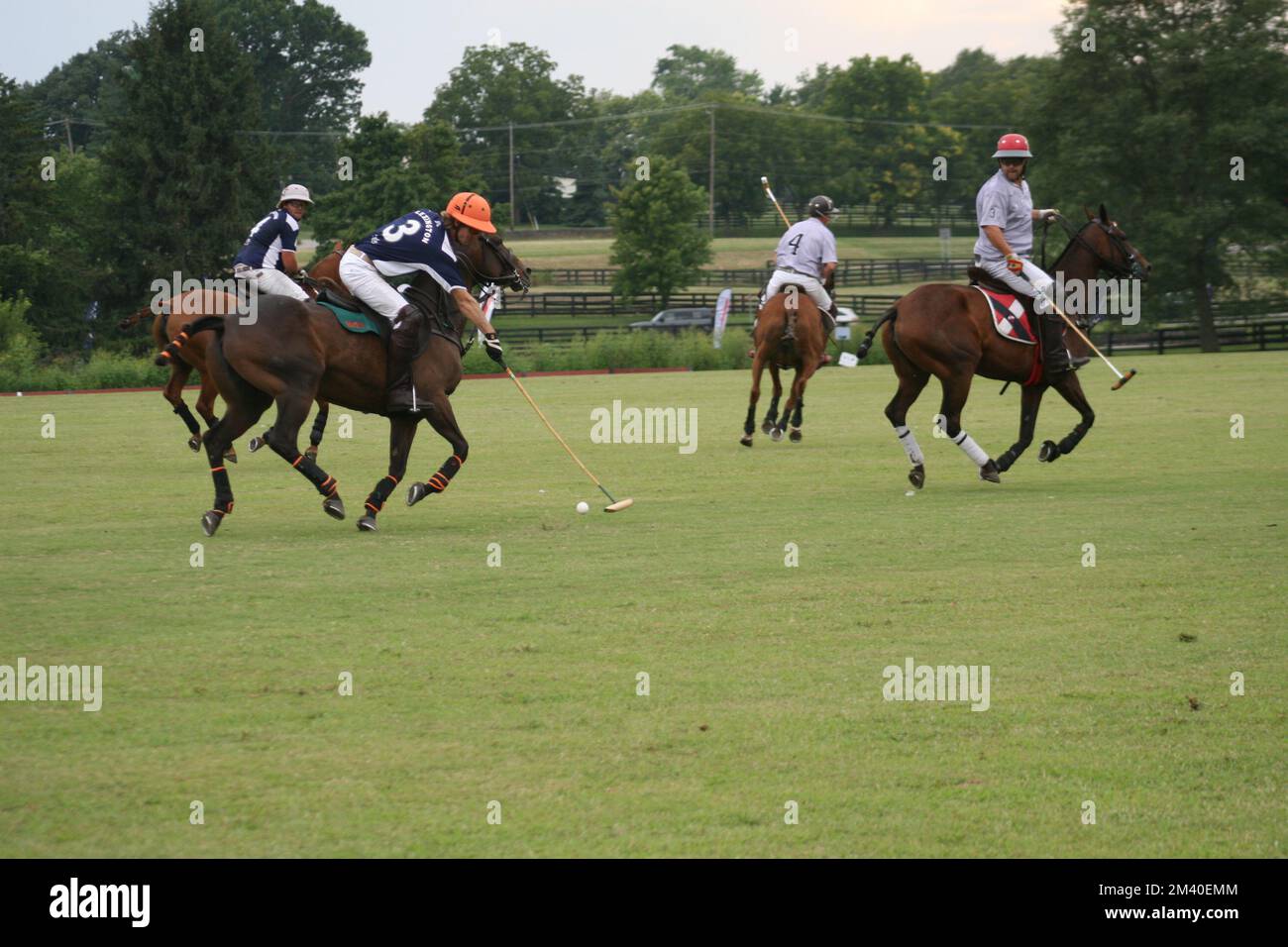 Lexington polo club hi-res stock photography and images - Alamy