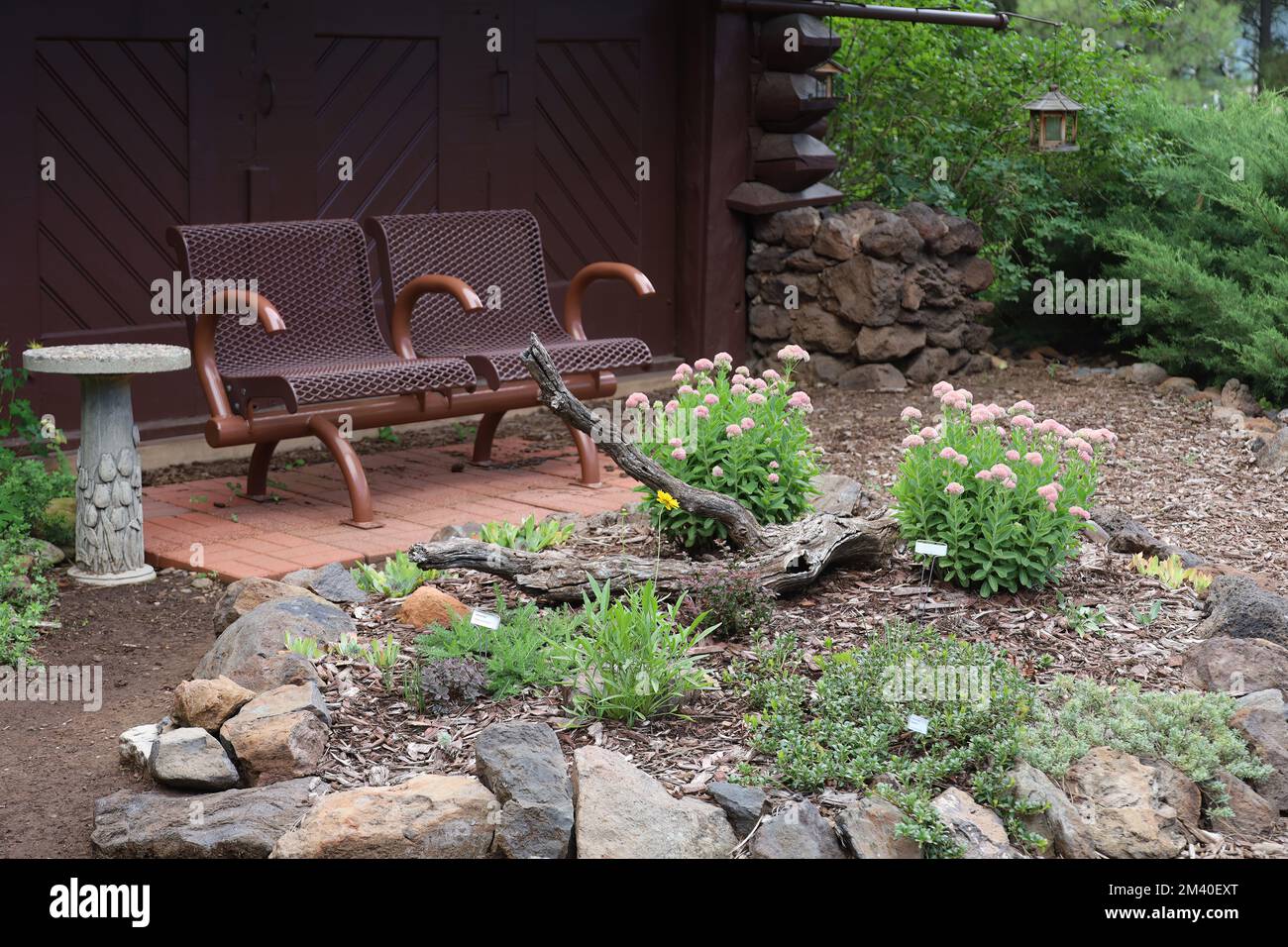 Lumbaar hi-res stock photography and images - Alamy