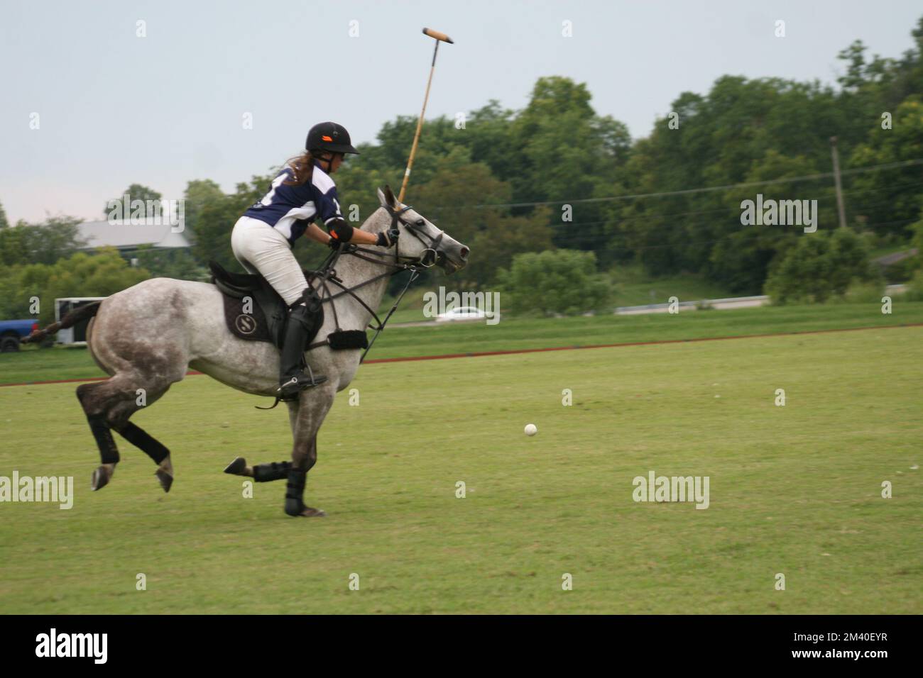 Lexington polo club hi-res stock photography and images - Alamy