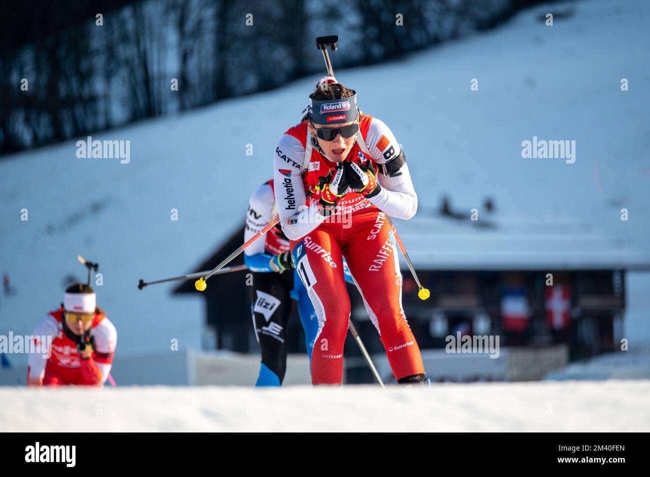 Haecki gross lena hi-res stock photography and images - Alamy