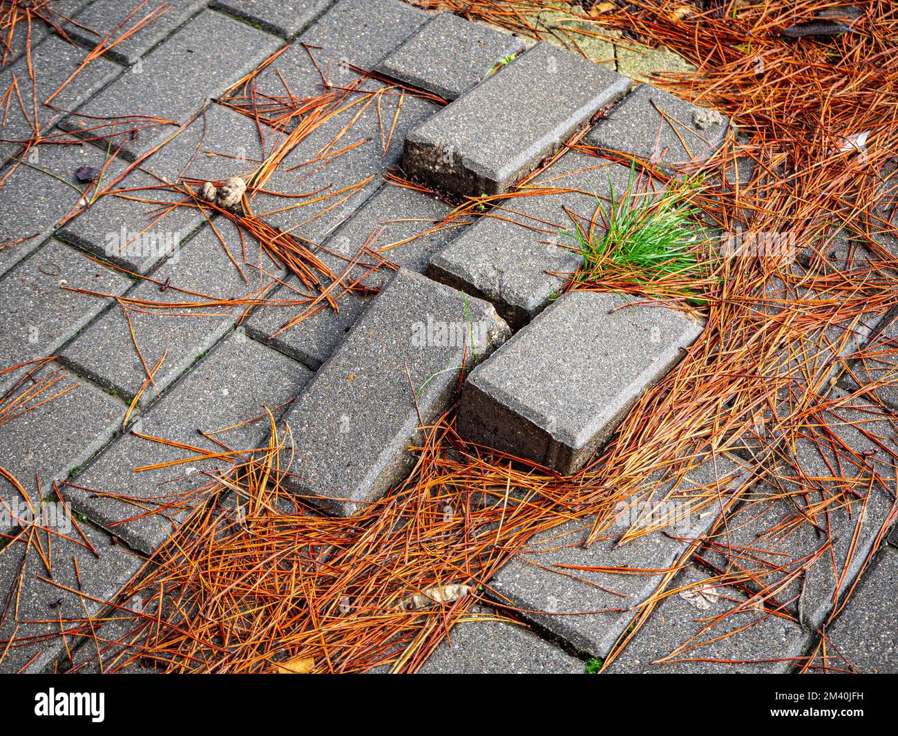 pothole in a block sidewalk with risk to people. Concept of risk hd ...