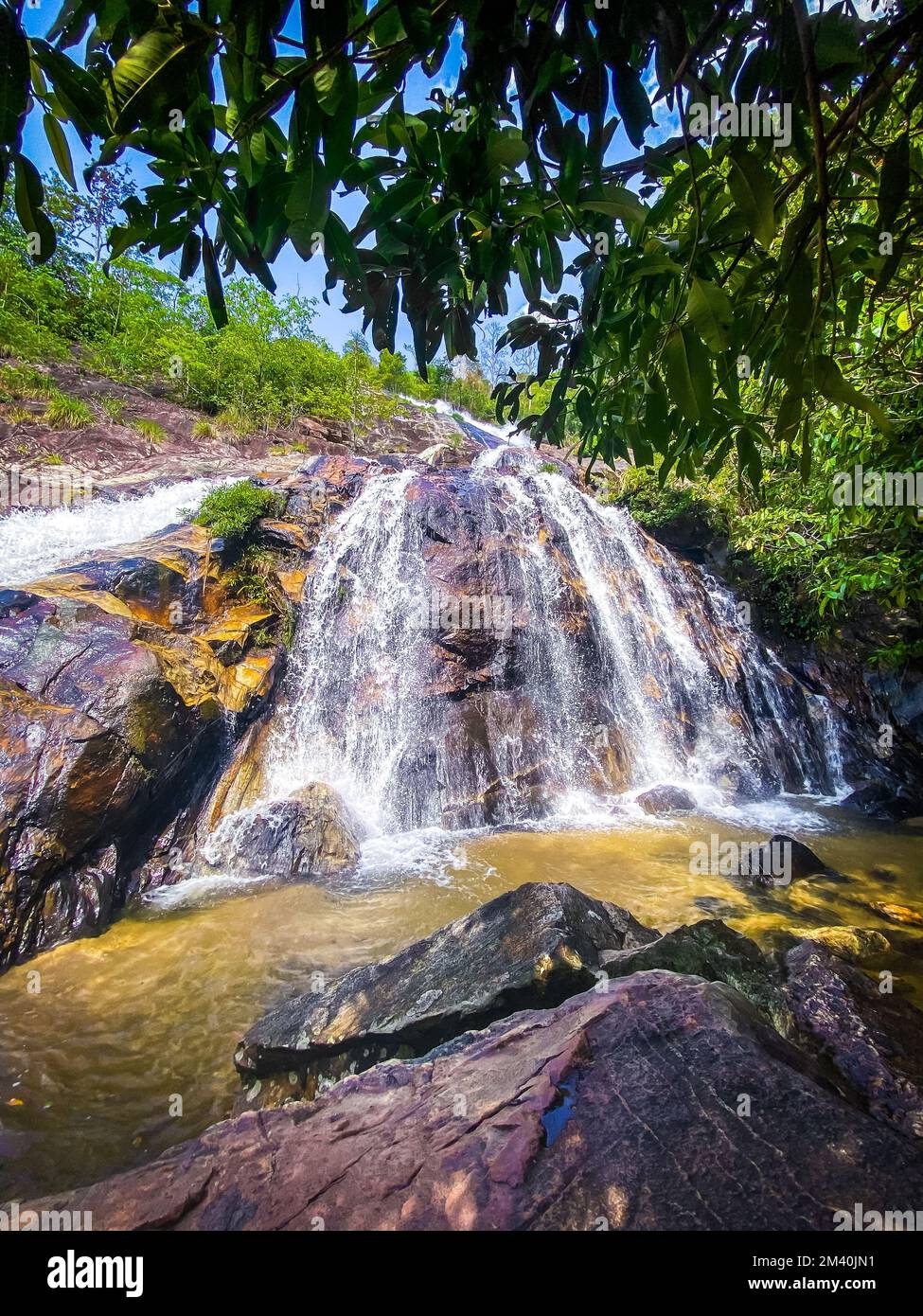 Tone nga chang wildlife sanctuary hi-res stock photography and images ...