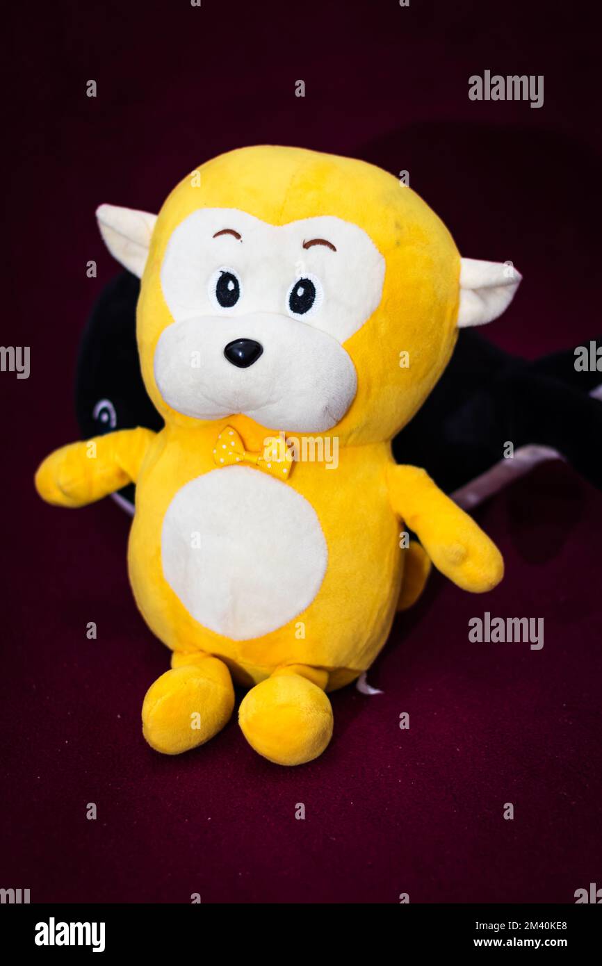 isolated yellow teddy with dark maroon background from front angle ...