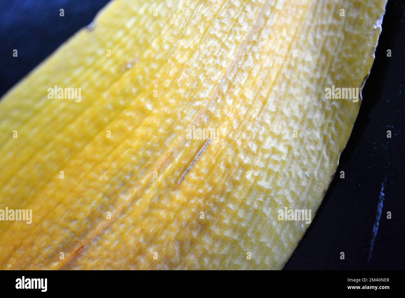 A large dried yellow orchid leaf located on a black glossy background ...