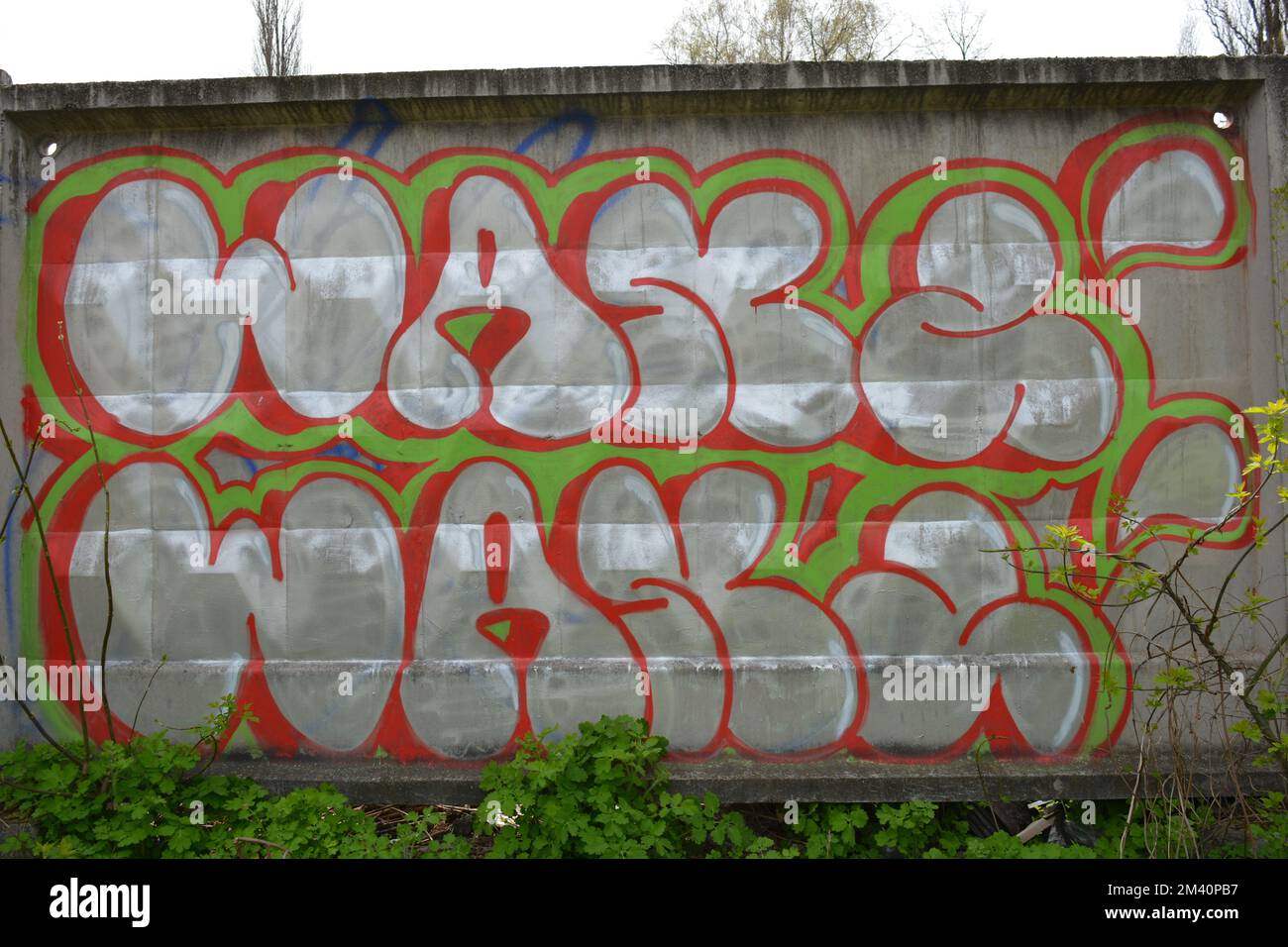 Graffiti word WANN, drawn by a lapdog in grey, red, green letters with ...