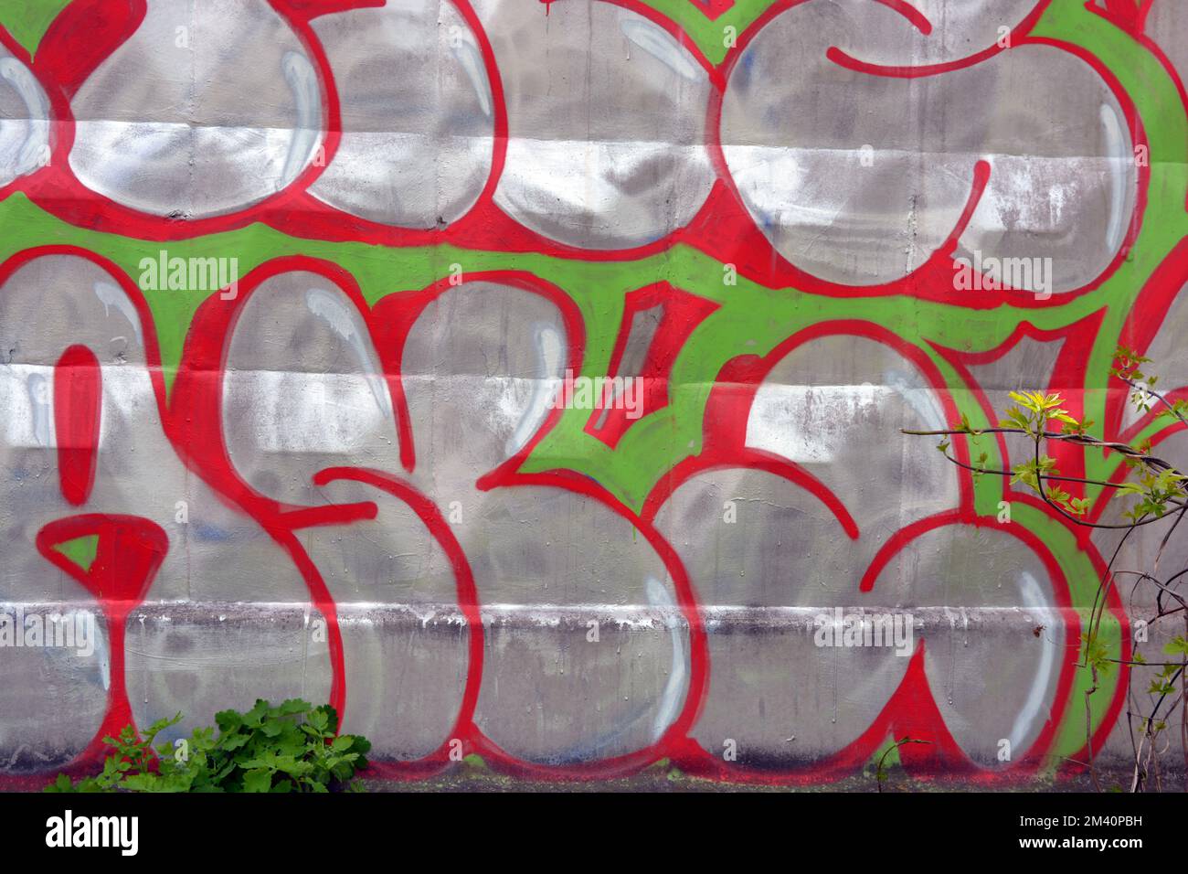 Graffiti word WANN, drawn by a lapdog in grey, red, green letters with ...