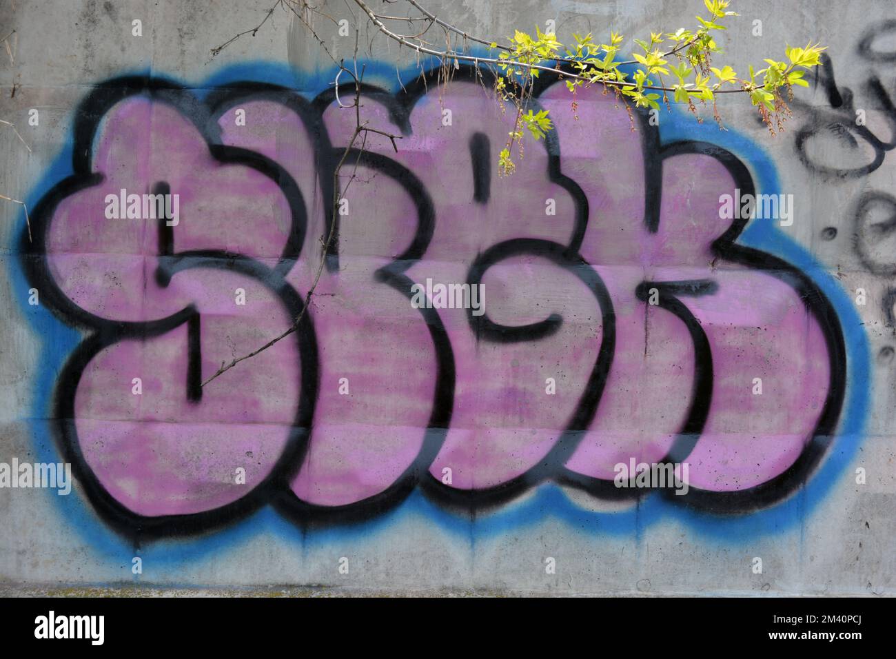 Graffiti word SKGK, drawn by a lapdog in pink, blue, black letters with ...