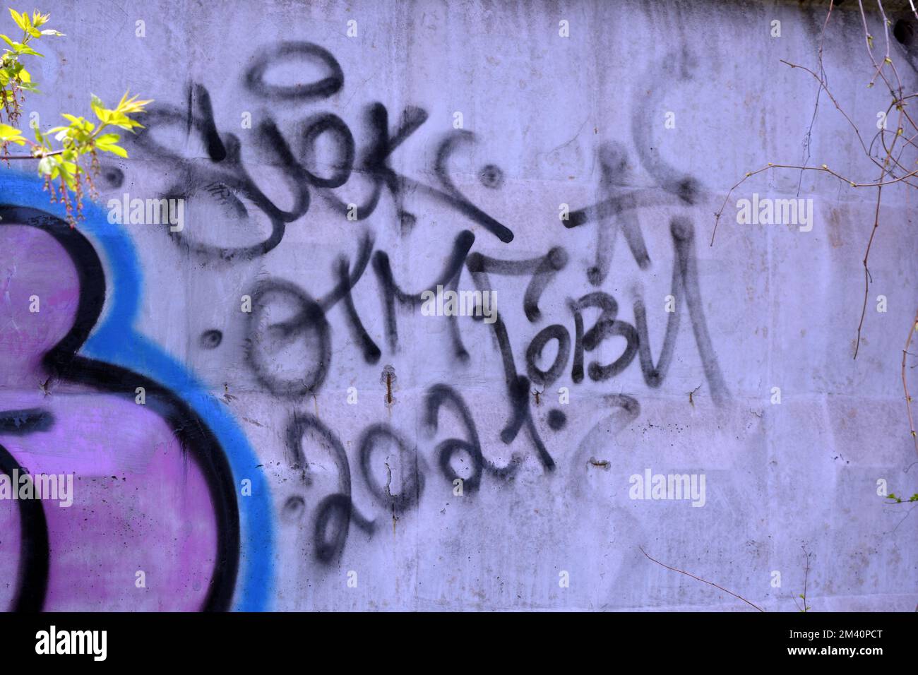 Graffiti word SKGK, drawn by a lapdog in pink, blue, black letters with ...