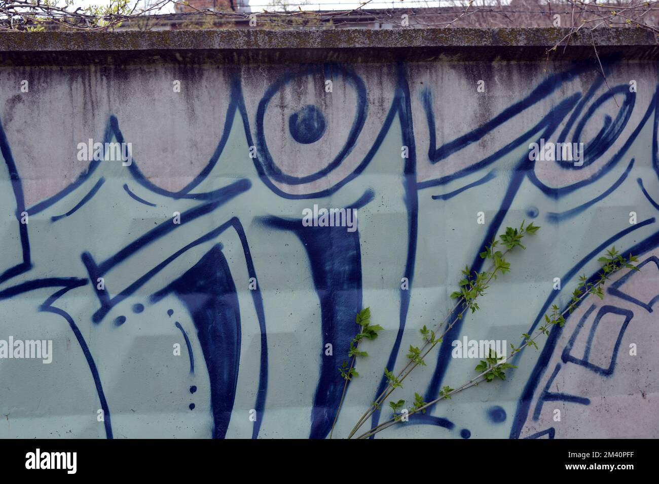 Graffiti word SKGK, drawn by a lapdog in pink, blue, black letters with ...