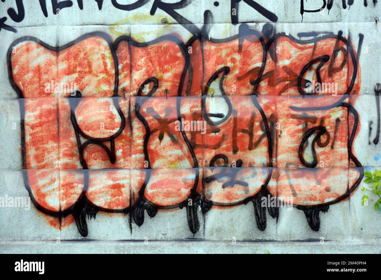 Graffiti word GLUB WS, drawn by a lapdog in sky red and black letters ...