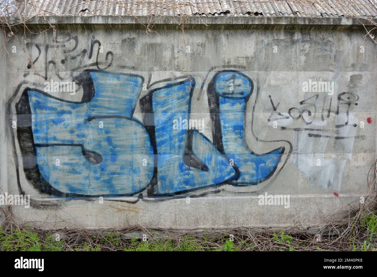Graffiti word 5LI, drawn by a lapdog in sky blue with black letters ...