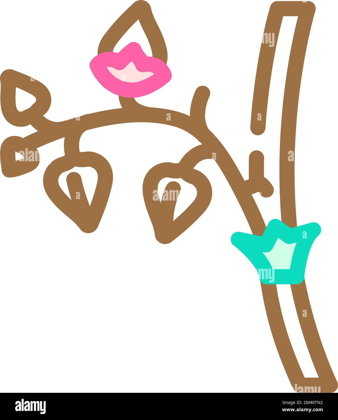 buckwheat plant healthy color icon vector illustration Stock Vector ...