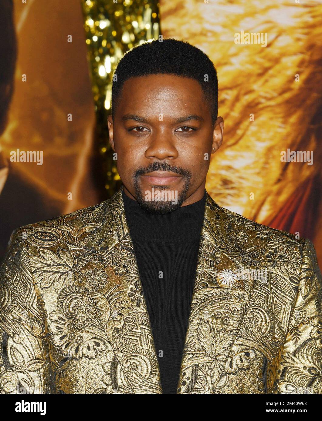 LOS ANGELES, CALIFORNIA - DECEMBER 15: Jovan Adepo attends the Global ...