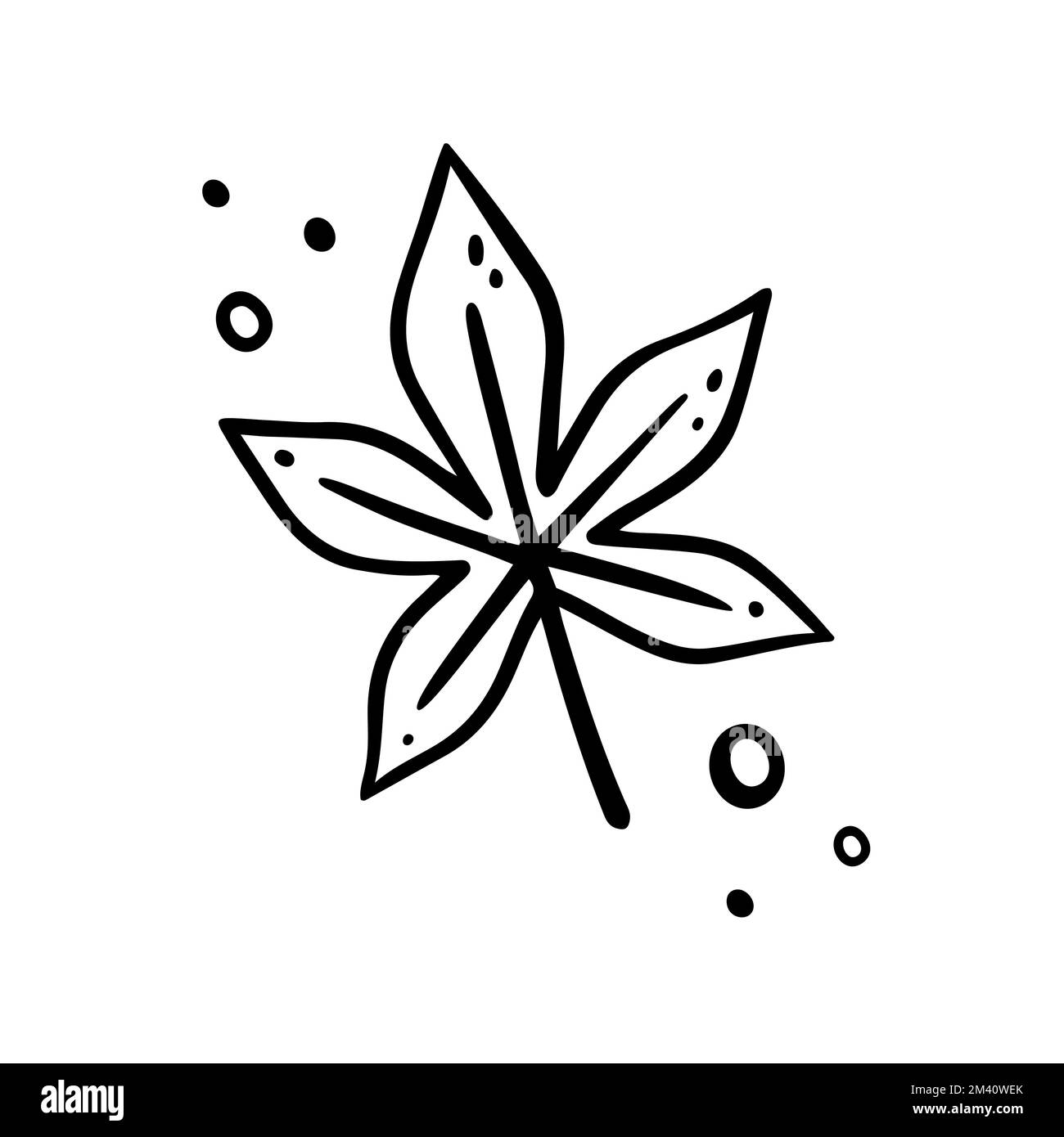 Hand drawn Maple Leaf, autumn leaf. Vector illustration in Doodle style ...