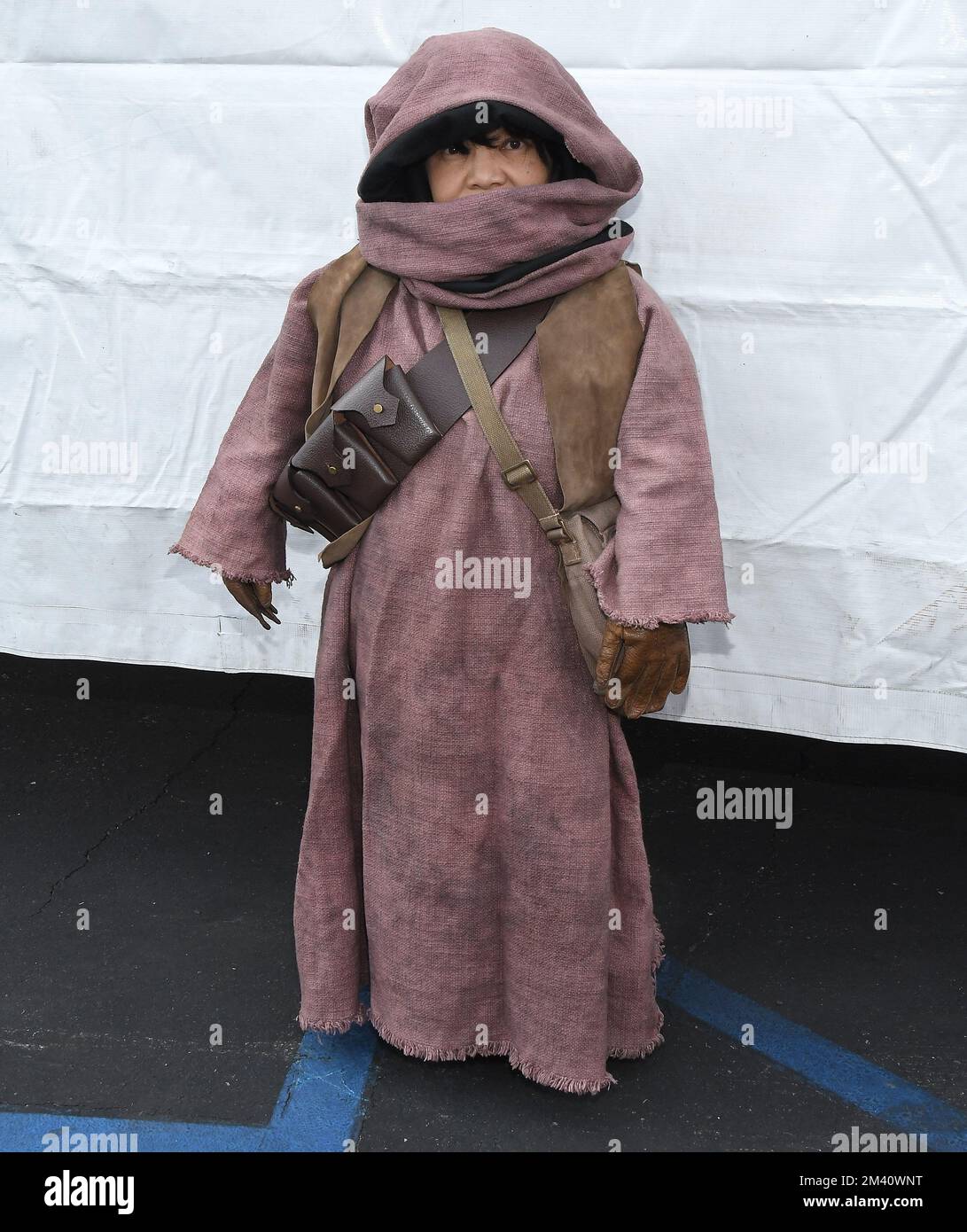 Leilani Shiu at the FACE Presents NAAC HiFi Holiday Festival held at ...