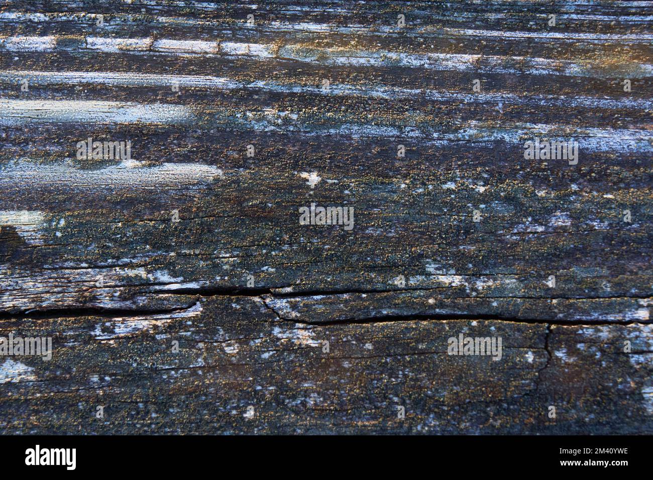 Old Wood weather warn wood with outdoors texture sunny day Stock Photo ...