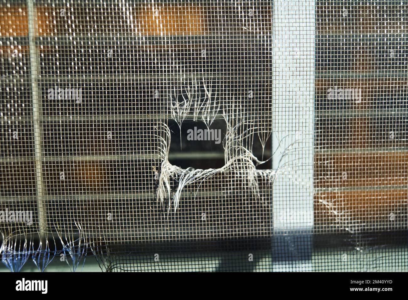 Window screen with hole in it outdoors during the day time Stock Photo ...
