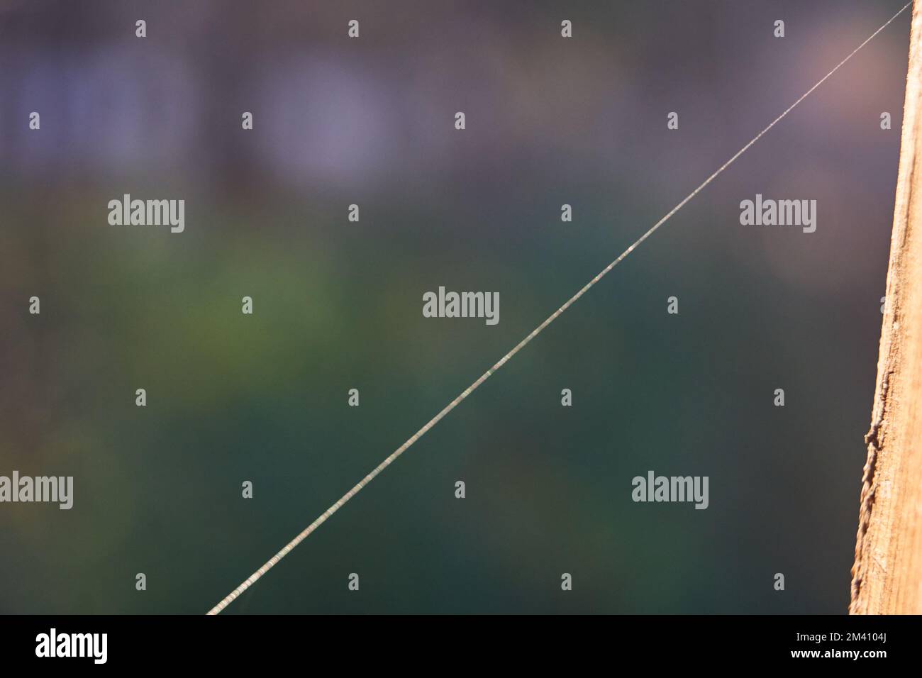 One single spider web outside background blurred out Stock Photo - Alamy